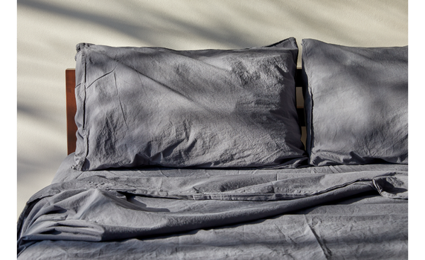 bed bugs on white sheets